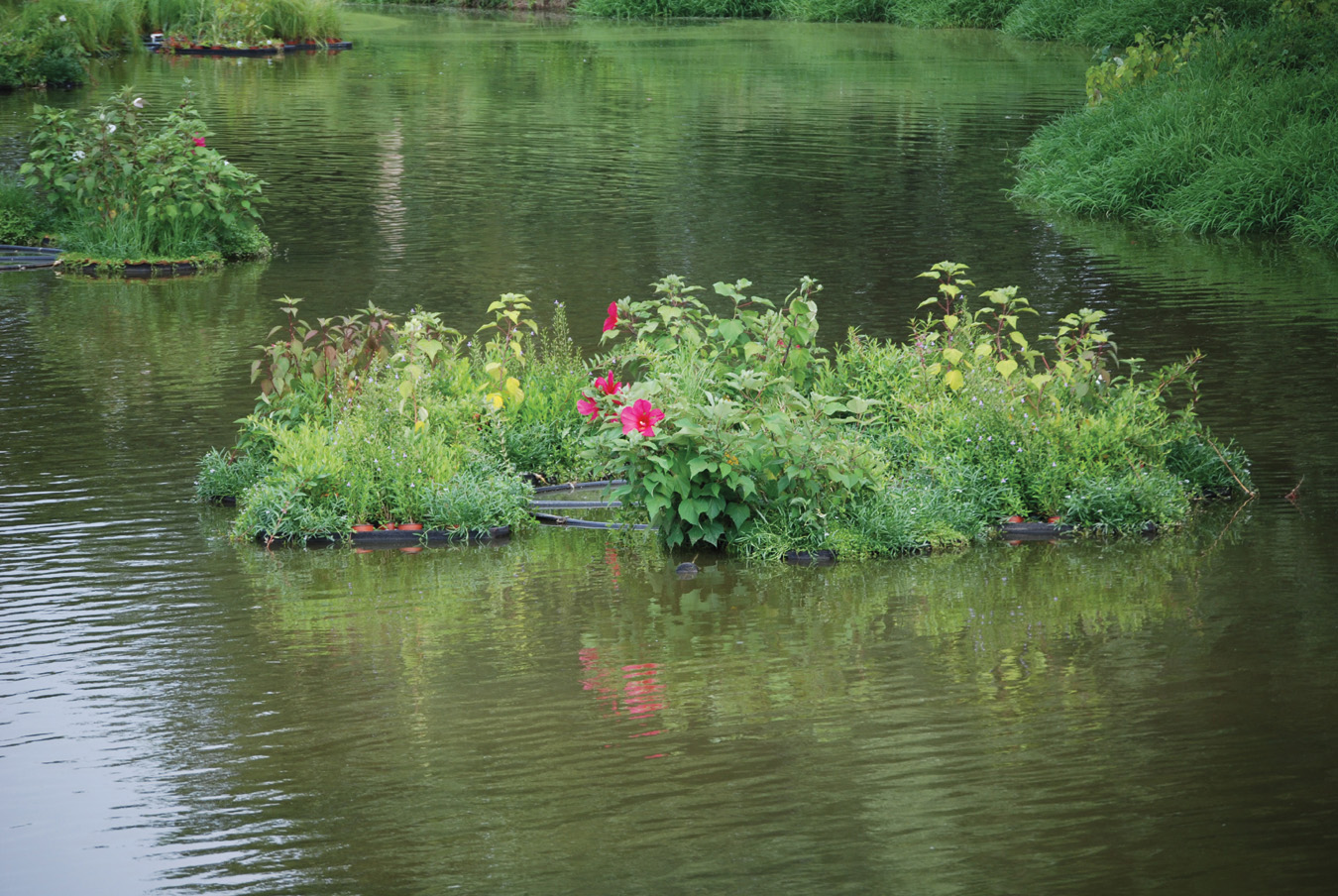 Floating Wetlands