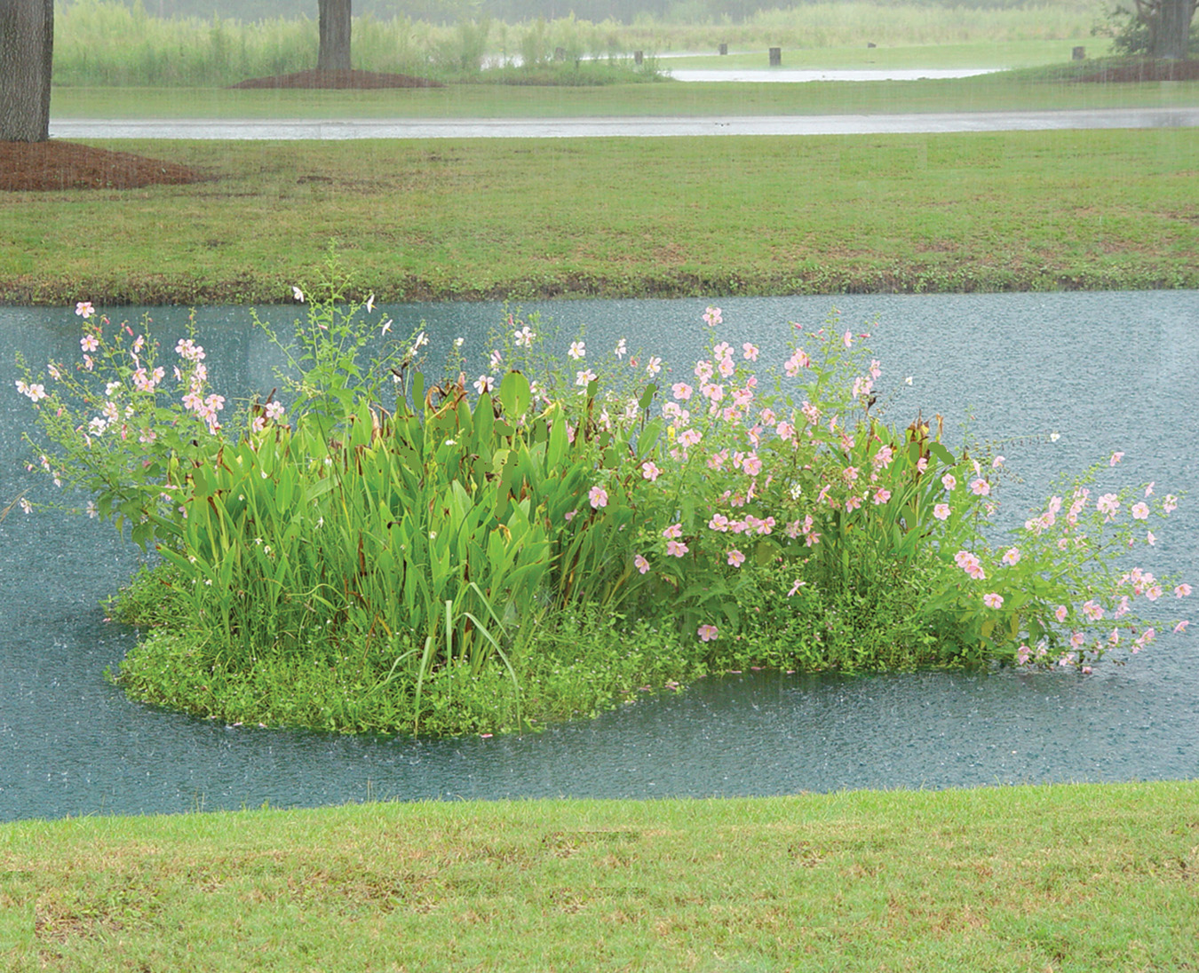 Floating Wetlands